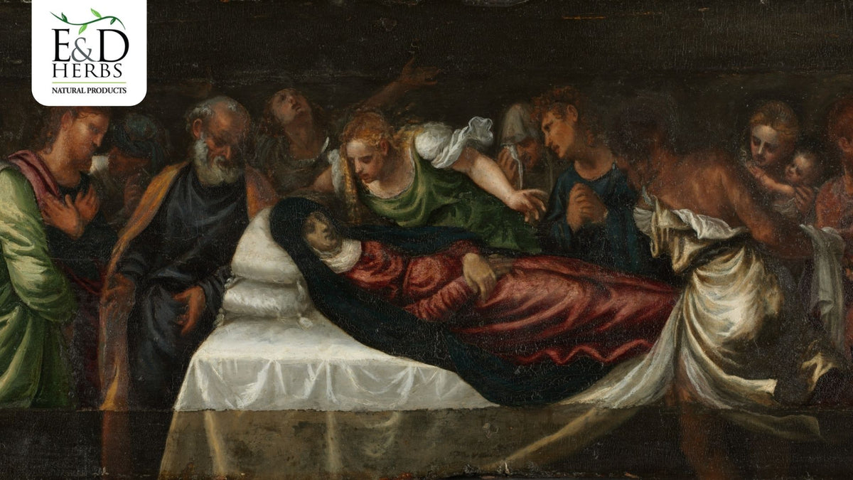 La curiosa historia del Aceite de RATERO: ¿Por qué su nombre? – E&D ...